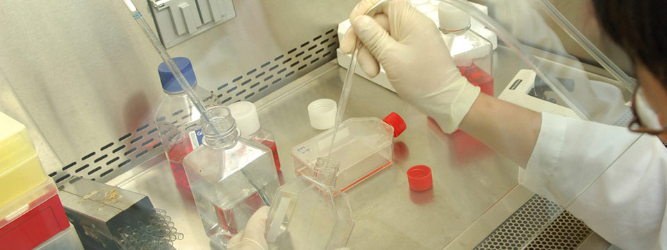 Biological Chemistry | UCLA Graduate Programs